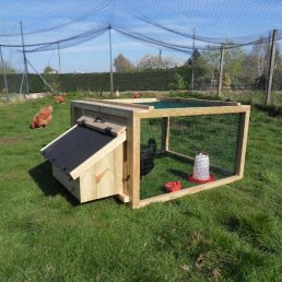 Broody Chicken Coop or Isolation Pen - Timber Flair